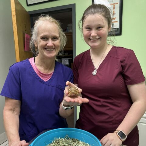 Best Veterinary Hospital In Calera, AL| Calera Animal Hospital